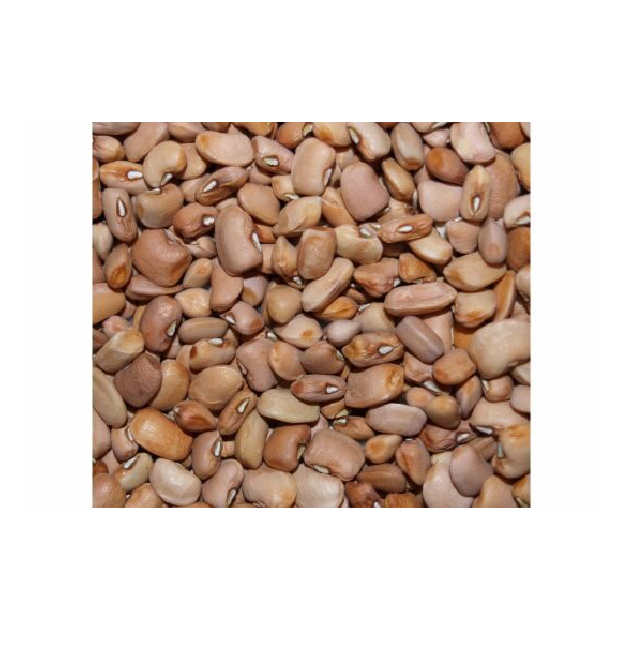 Oloyin (honey) beans – Tfoods